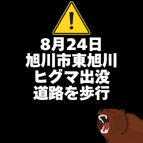 【8月24日】東旭川にヒグマ出没(道路を歩行) | asatan