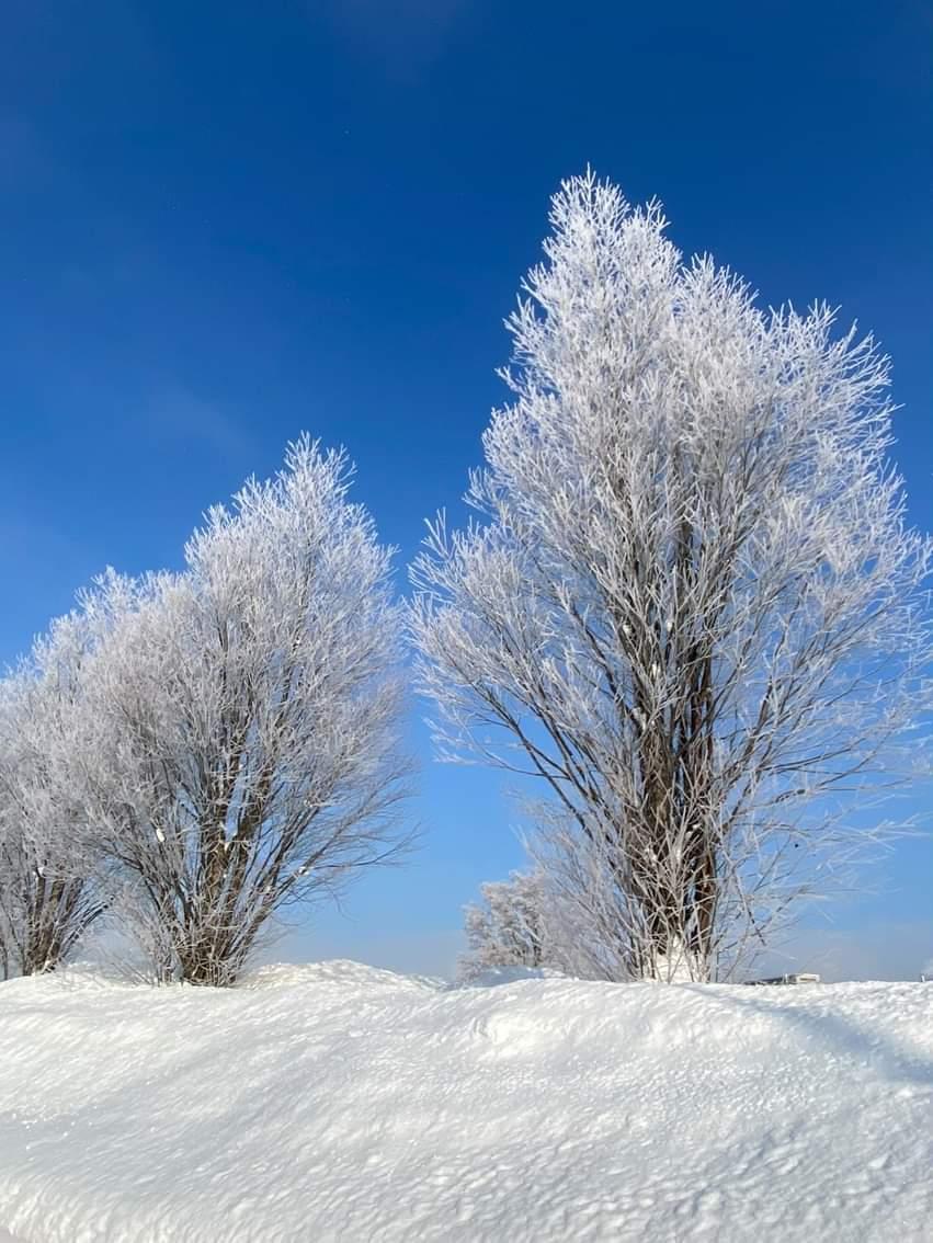 【asatanコンテスト】奇跡の1枚発表！北海道ならではの景色が！ | asatan