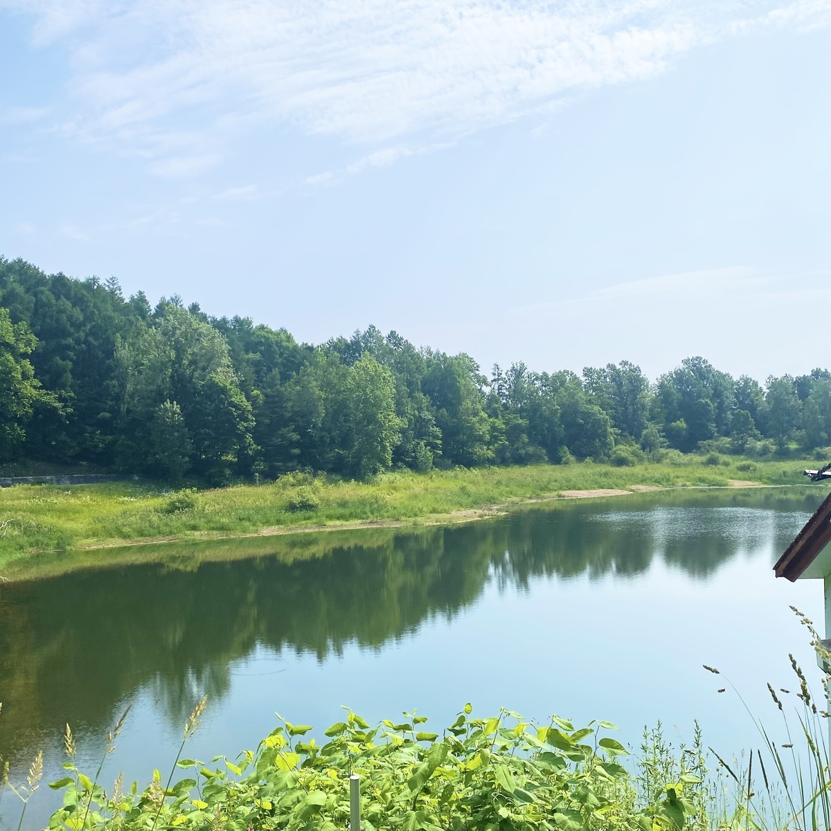 【前編】旭川市から40分！半日で周る美瑛プチTrip | asatan