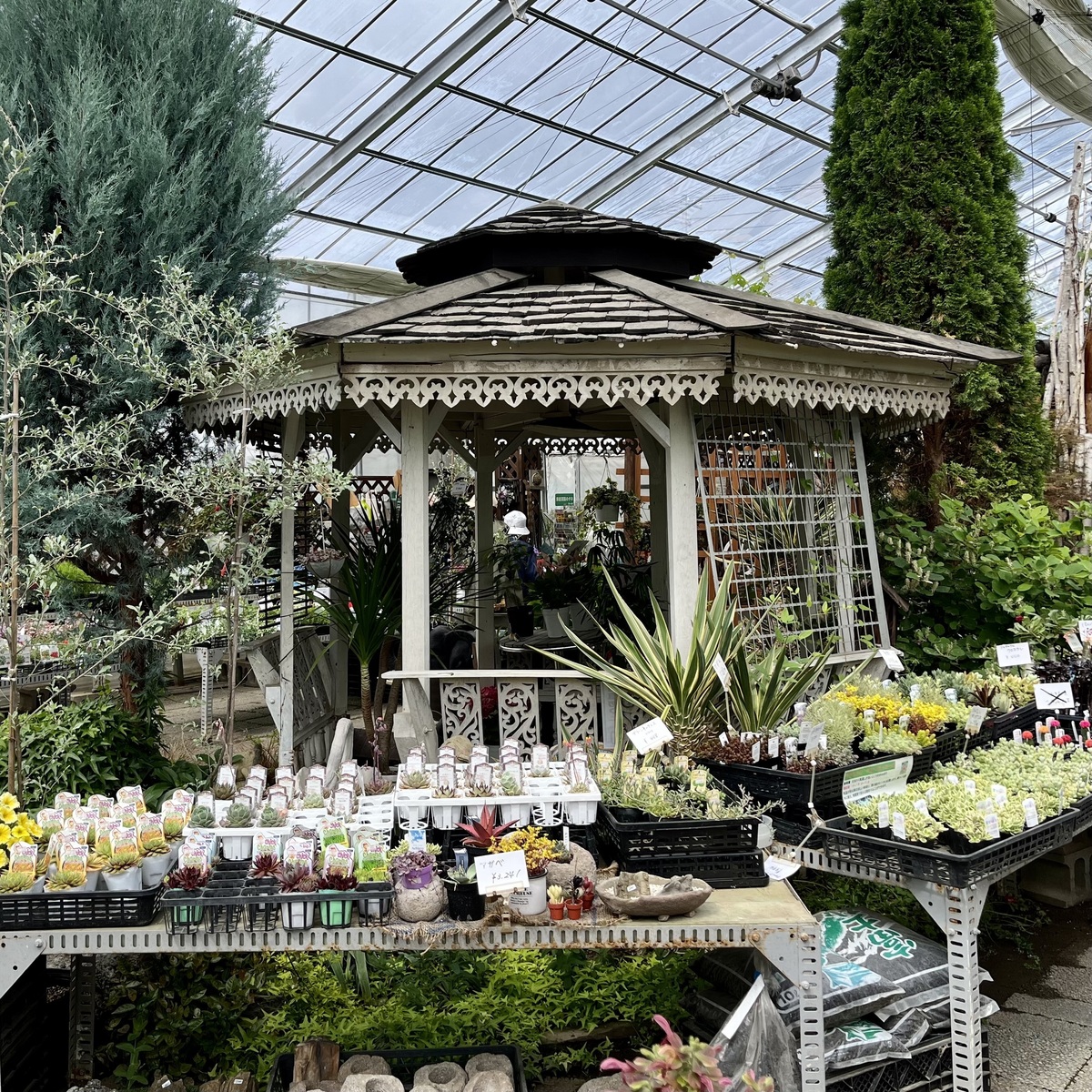 2024年もガーデニングシーズン！【旭川】おすすめ園芸ショップ2選 | asatan