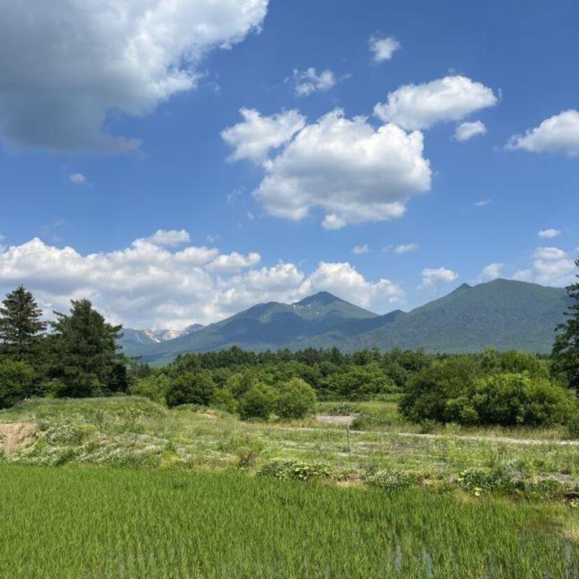 【asatan不動産／上富良野町エリア】別荘・コテージ・キャンプ場等可能な33,000坪 | asatan