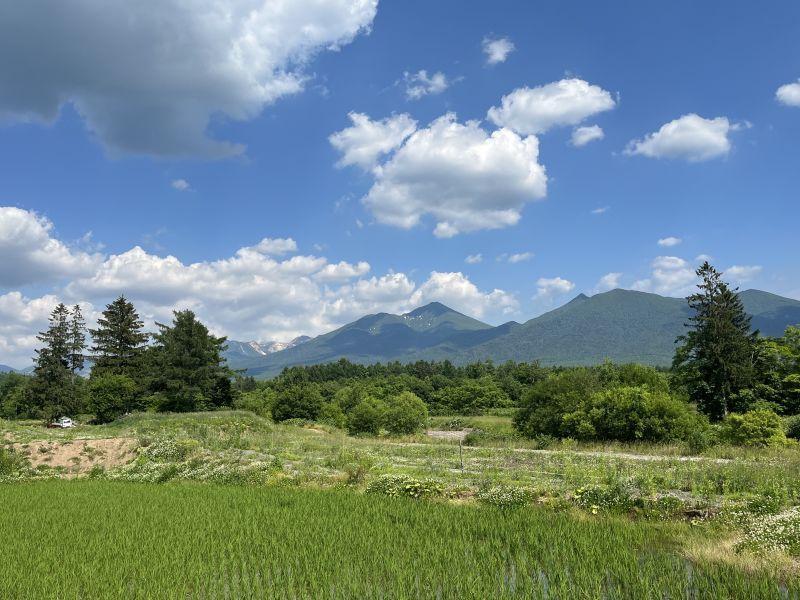 【asatan不動産／上富良野町エリア】別荘・コテージ・キャンプ場等可能な33,000坪 | asatan