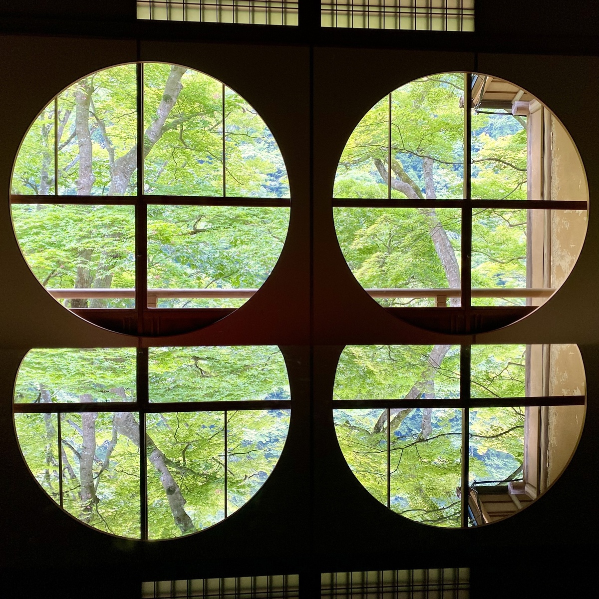 8月は直行便運航！旭川発、京都旅で行きたいスポット | asatan