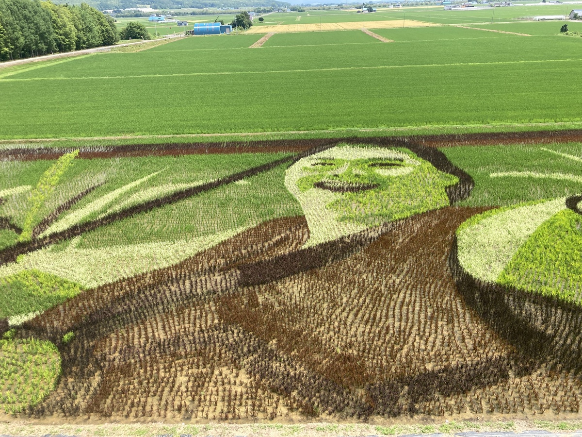 旭川市東鷹栖「田んぼアート2025」今年のアートにはあの人が登場! | asatan