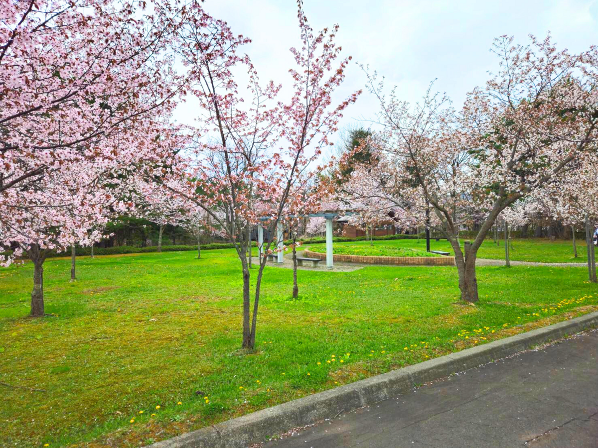 【夏本番】旭川市内でBBQおすすめスポット&100均アウトドア商品 | asatan