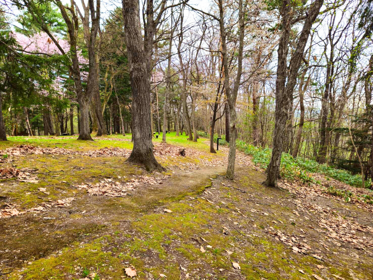 【夏本番】旭川市内でBBQおすすめスポット&100均アウトドア商品 | asatan