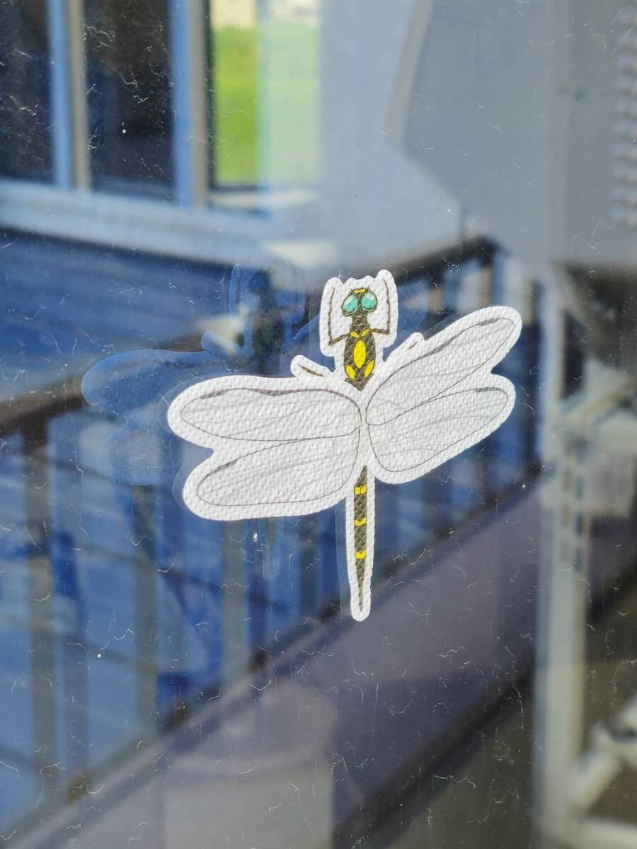 【夏本番】旭川市内でBBQおすすめスポット&100均アウトドア商品 | asatan